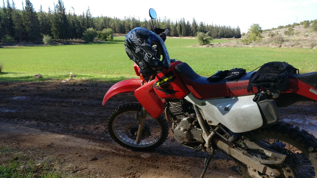 אופנועים - הונדה XR650L (2003) | מודעה-767018