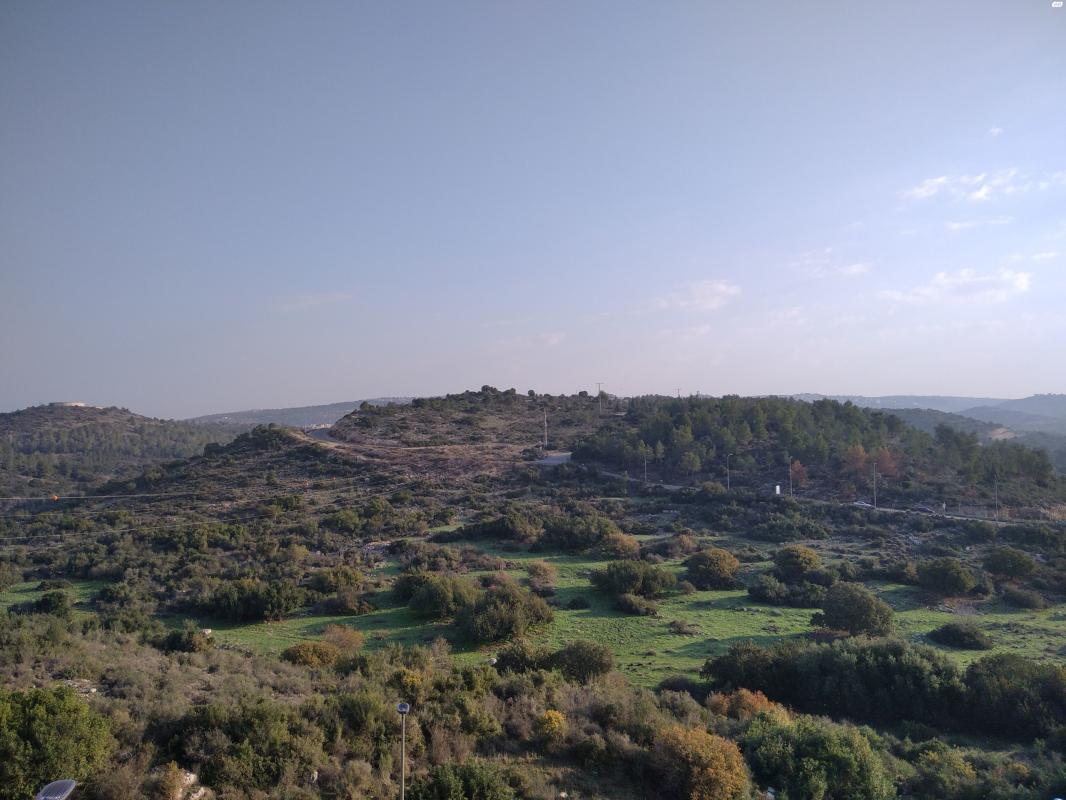 דירות למכירה - רעות 1 | מודעה-1062053