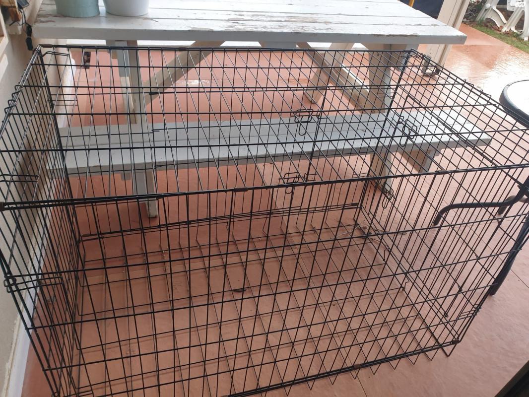 אביזרים וציוד לכלבים - כלוב גדול שחור ששימש כלבה גדולה | מודעה-1077753