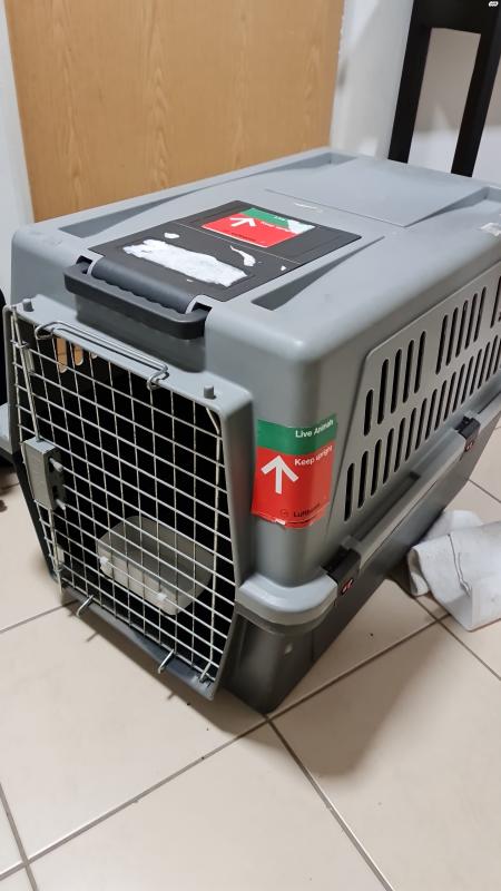 אביזרים וציוד לכלבים - כלוב הטסה / נסיעה לכלב | מודעה-1077708