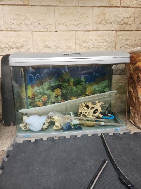 אבני נוי - אקווריום למכירה כמו חדש דגם: | מודעה-1140760