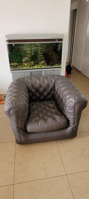 ריהוט לסלון - כורסאת יחיד מעוצבת מתנפחת blofield | מודעה-1149680