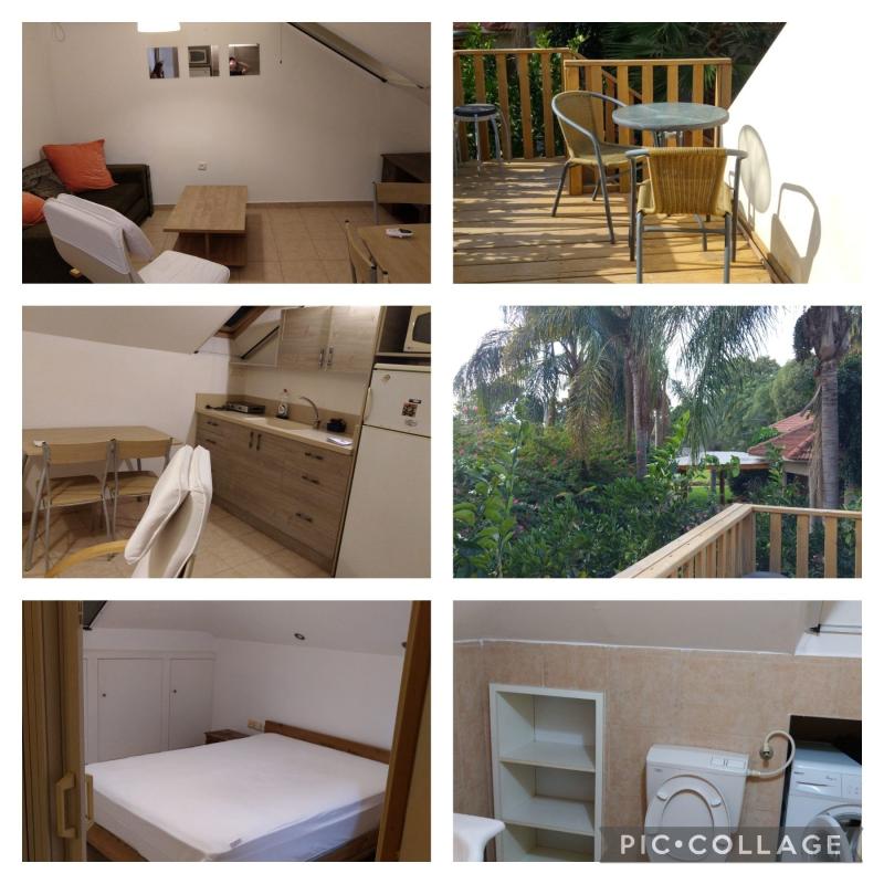 דירות להשכרה - שדרות היוגב 94 | מודעה-1471007