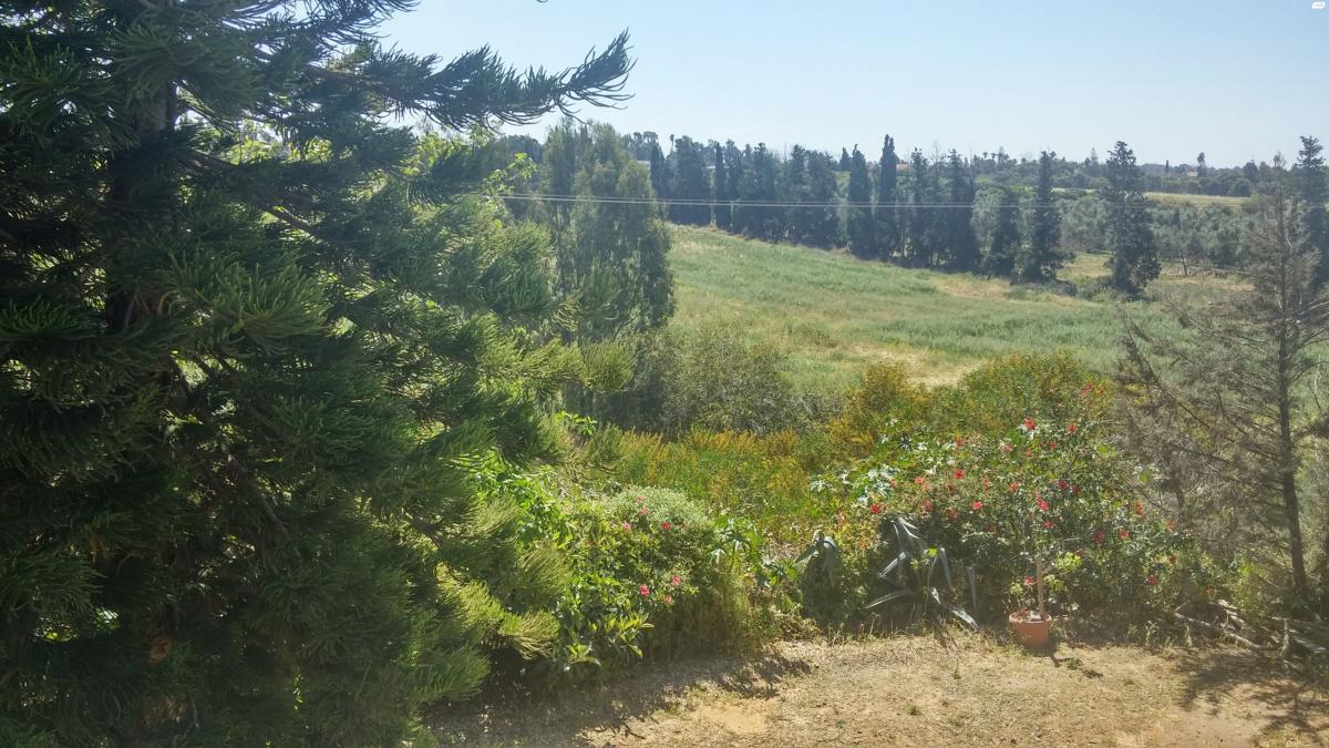 דירות למכירה - השיטה 55 | מודעה-1505336